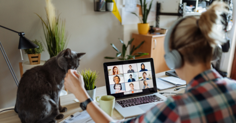 Entry Level Remote IT Jobs - SkillFlash.be - How to Start Your IT ...